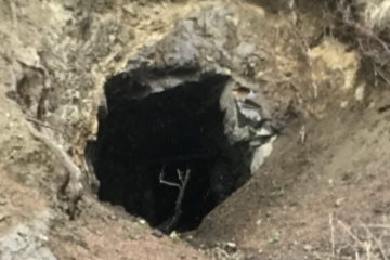 transatlantic-cruises-are-awesome-with-kids-here-is-why