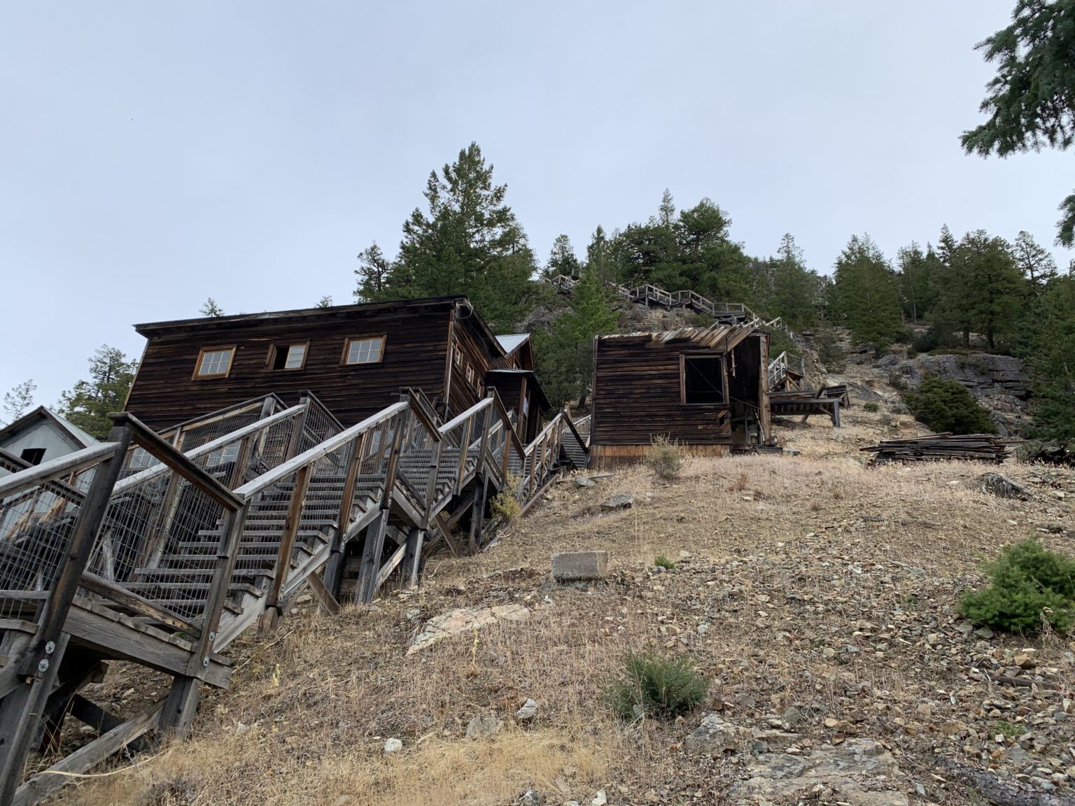 Mascot Mine – Life is Adventure