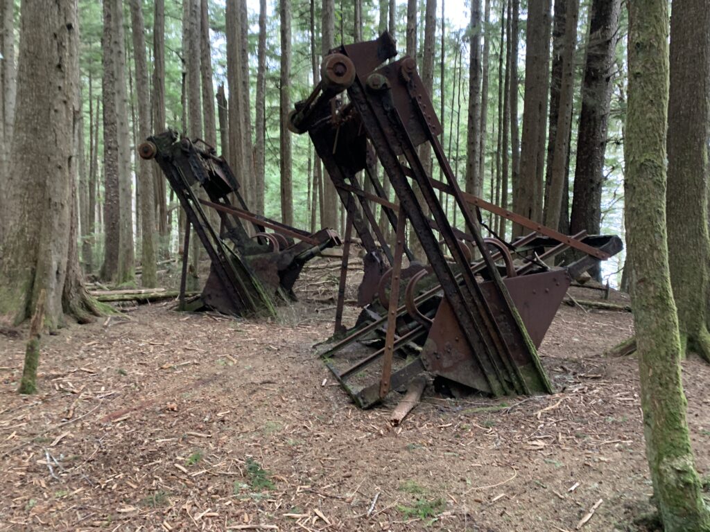 Suquash Forest Ruins – Life is Adventure