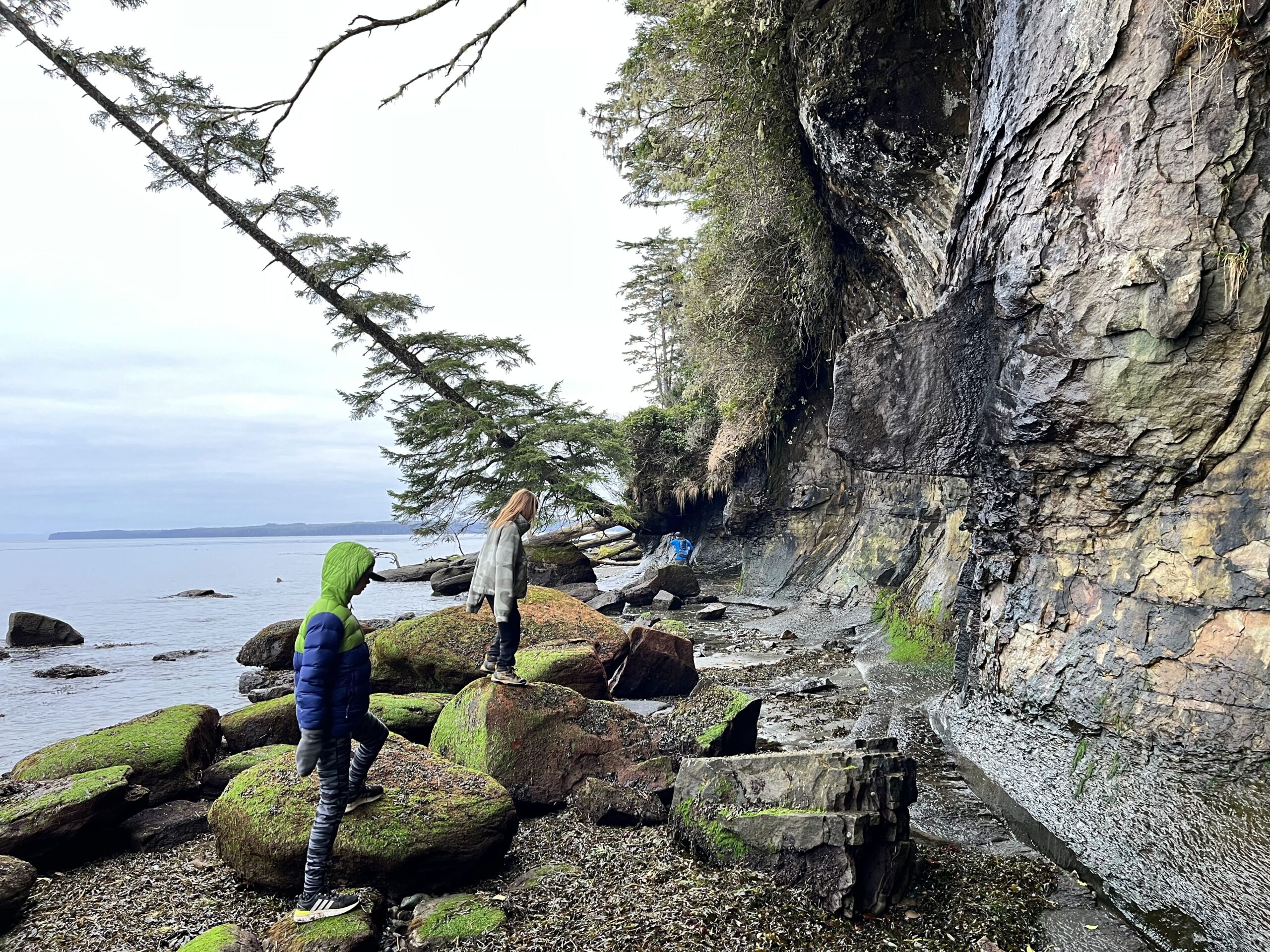 Suquash Forest Ruins – Life is Adventure